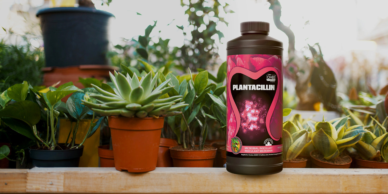 Hydroponic Nutrients and Premium Plant Products Manufacturer – Future ...
